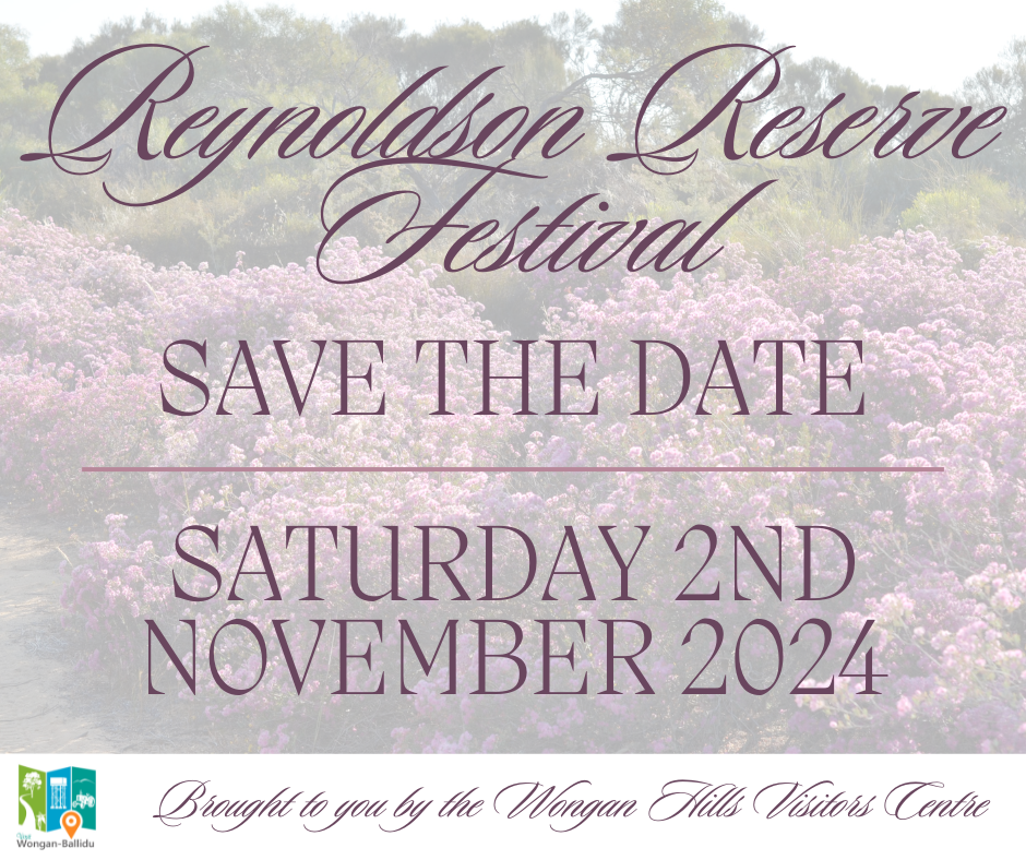 Reynoldson Reserve Festival 2024 » Shire of Wongan-Ballidu