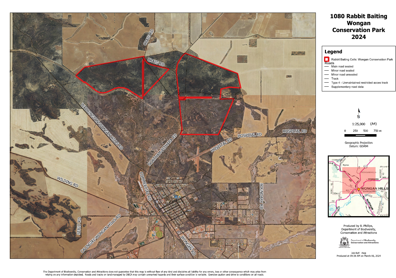 News Story - DBCA to manage rabbits in Wongan Conservation Park » Shire ...