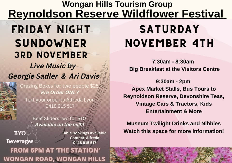 Reynoldson Reserve Festival 2023 » Shire of Wongan-Ballidu